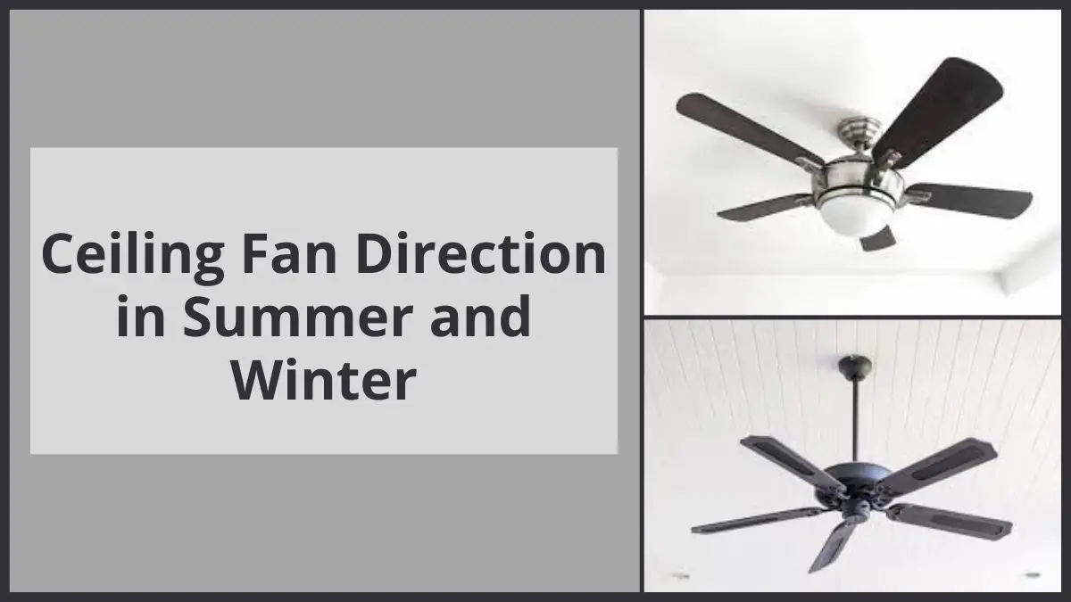 Ceiling Fan Direction in Summer and Winter in Canada - Show Me the Green