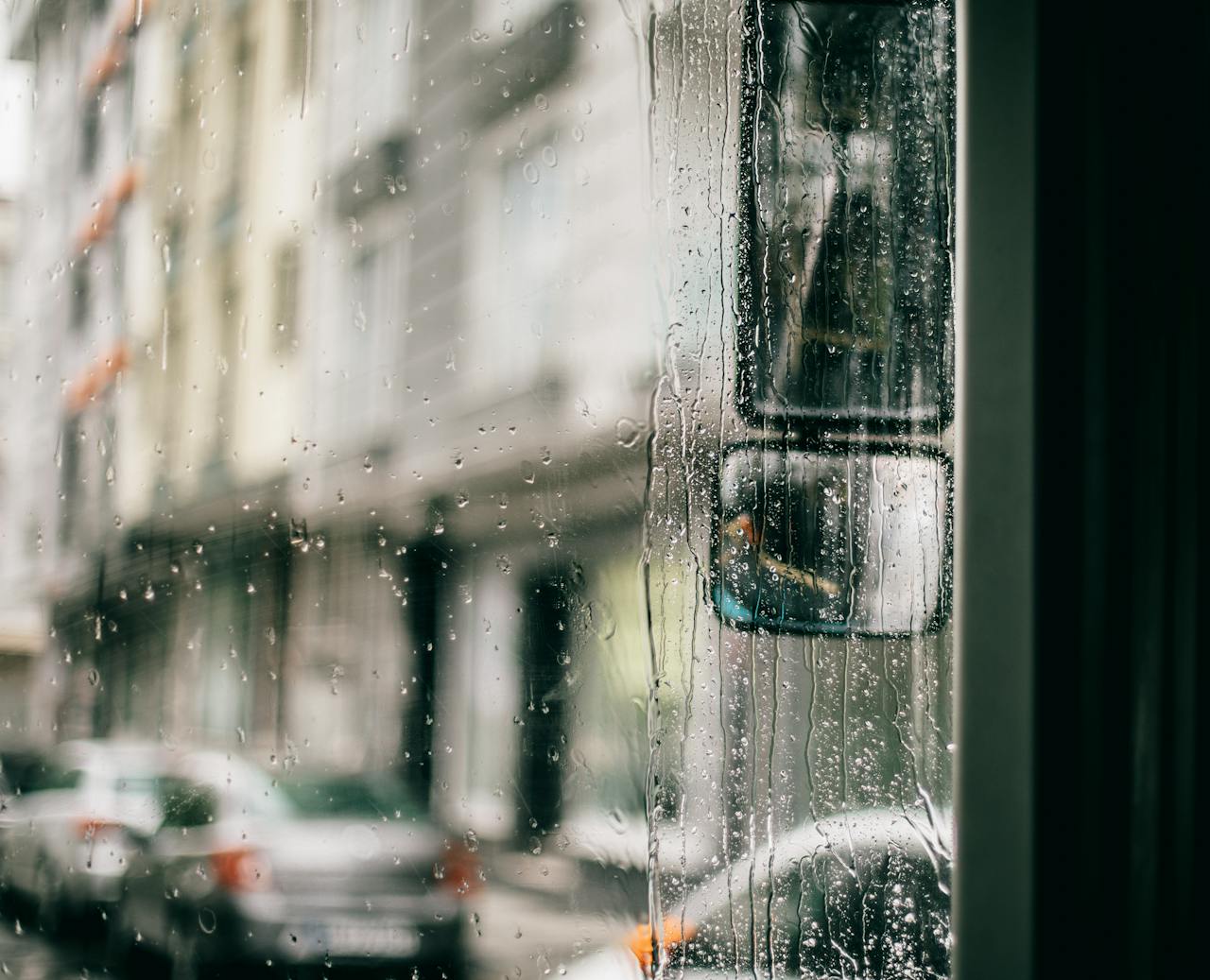 Feeling Damp? Let’s Dry Things Up! - Show Me the Green